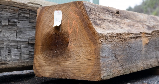 What is Angelique Wood? Ron Sauer From Excelsior Tells All